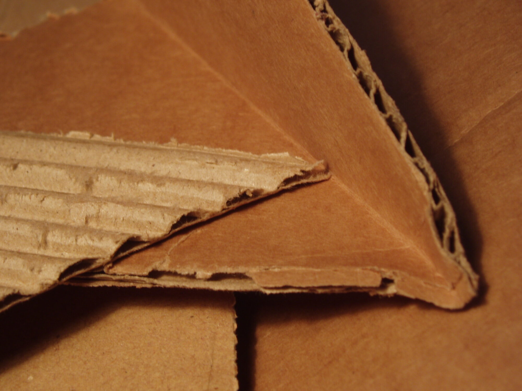 Carton Packaging: One Stop Shop with MJS Packaging