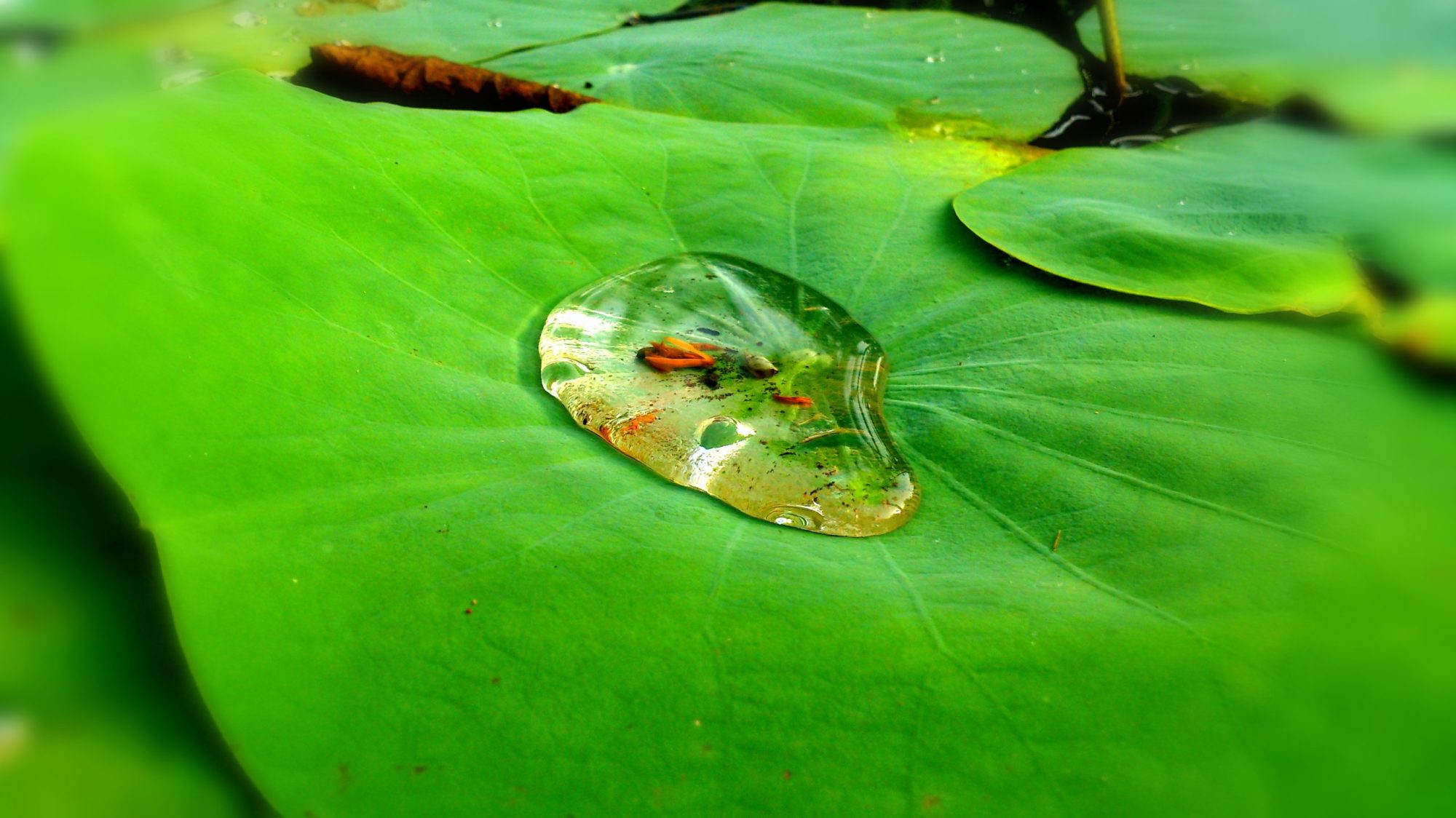 M-Industries' Vented Liners: A Solution for Packaging Failures